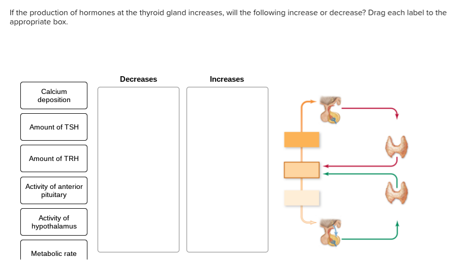 Solved If the production of hormones at the thyroid gland | Chegg.com