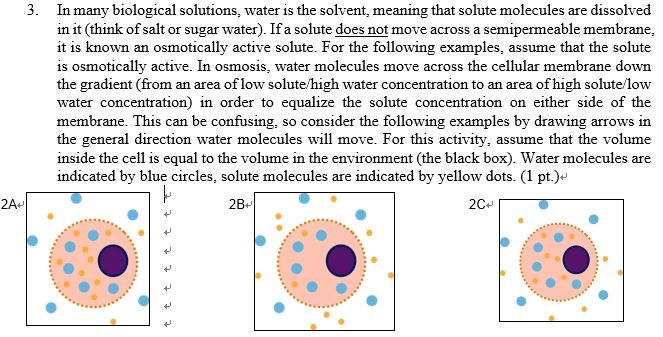 Solved 3. In many biological solutions, water is the | Chegg.com