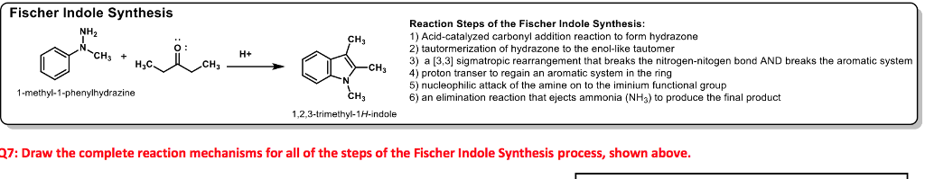 Solved Fischer Indole Synthesis NH2 Reaction Steps of the | Chegg.com