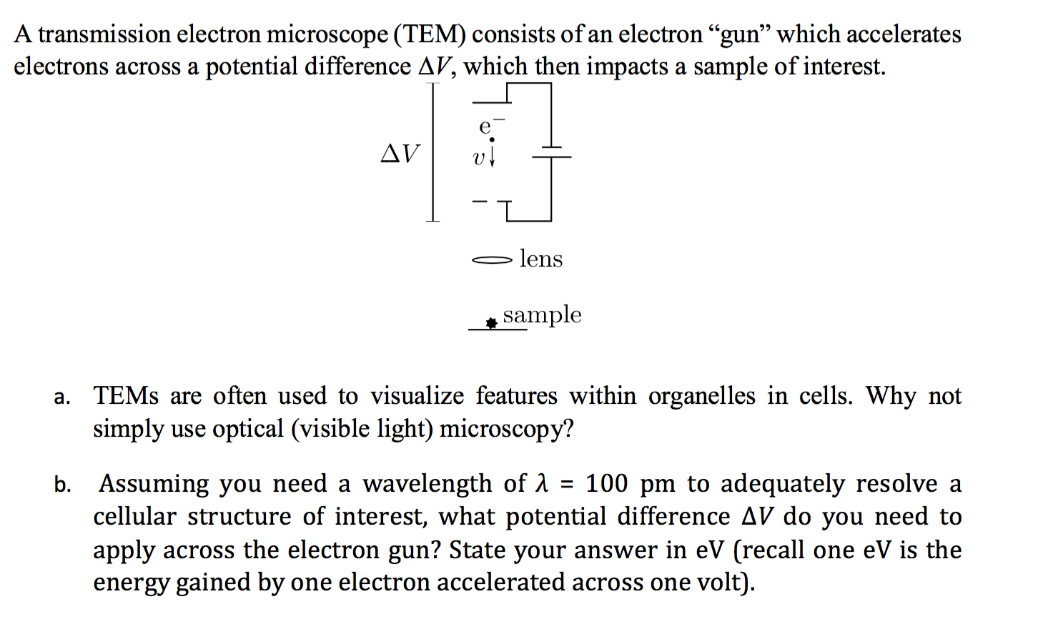 Solved A transmission electron microscope (TEM) consists of | Chegg.com
