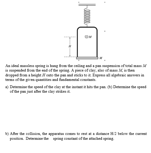 Solved An ideal massless spring is hung from the ceiling and | Chegg.com