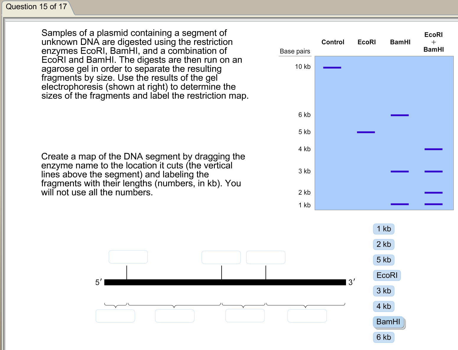 Samples of a plasmid containing a segment of unknown | Chegg.com