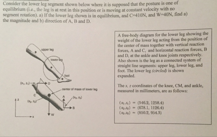 Solved Consider the lower leg segment shown below where it | Chegg.com