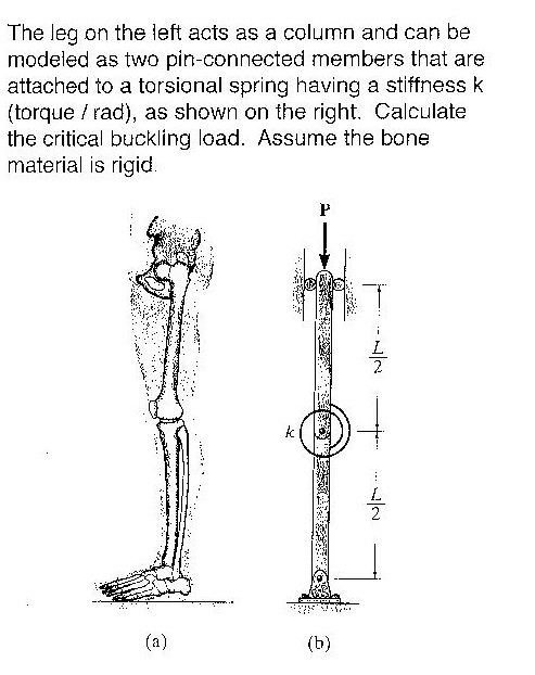 Solved The leg on the left acts as a column and can be | Chegg.com