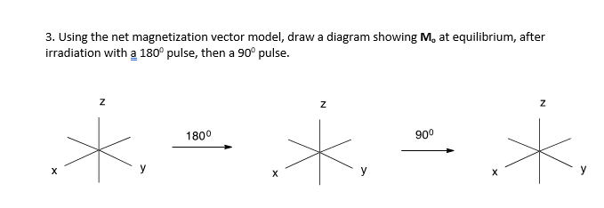3. Using the net magnetization vector model, draw a | Chegg.com