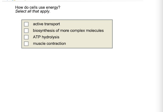 Solved How do cells use energy? Select all that apply. | Chegg.com