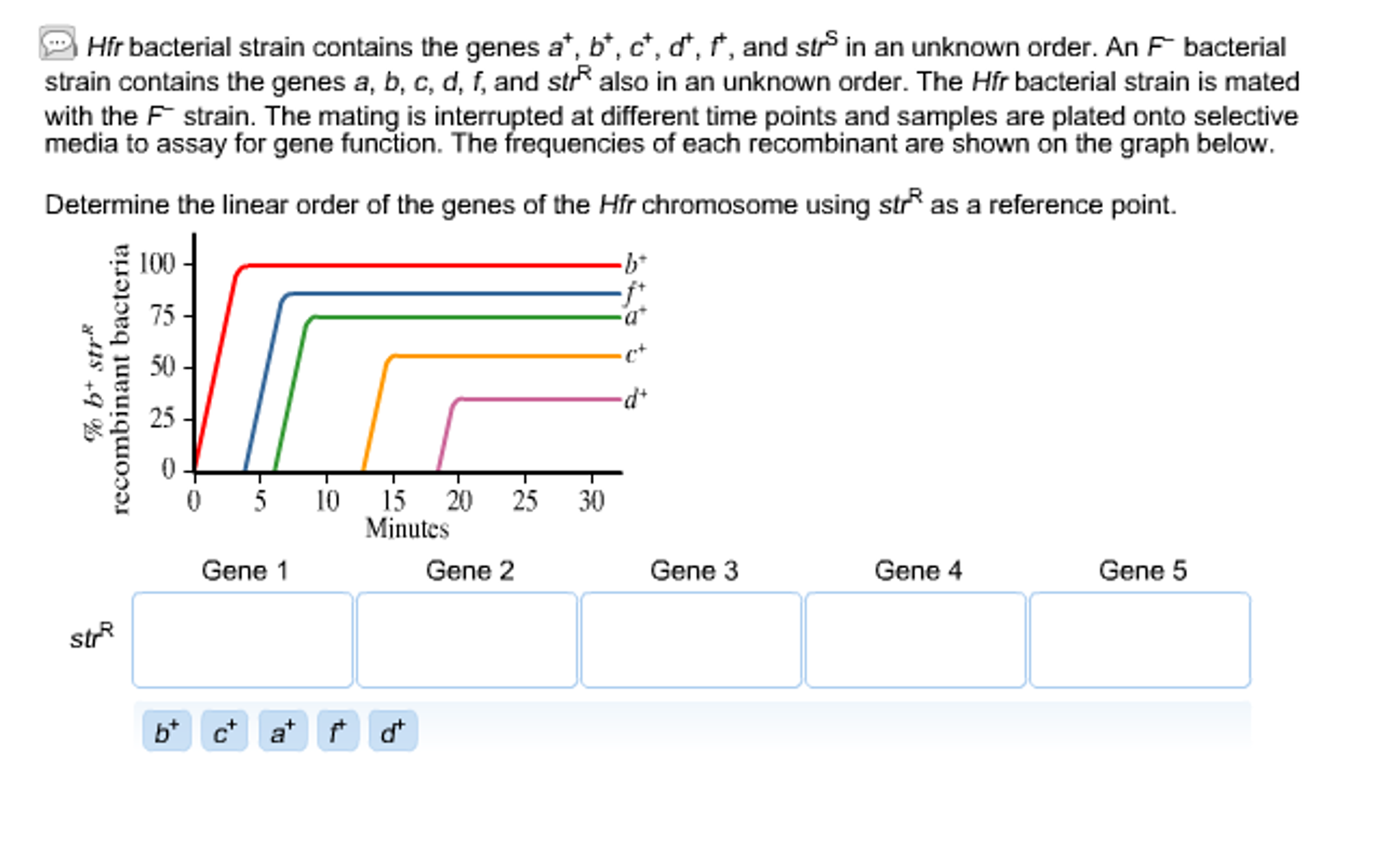 Hfr bacterial strain contains the genes a^+, b^+, | Chegg.com