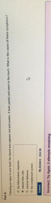 Solved Following an injury to your hand the injured area | Chegg.com