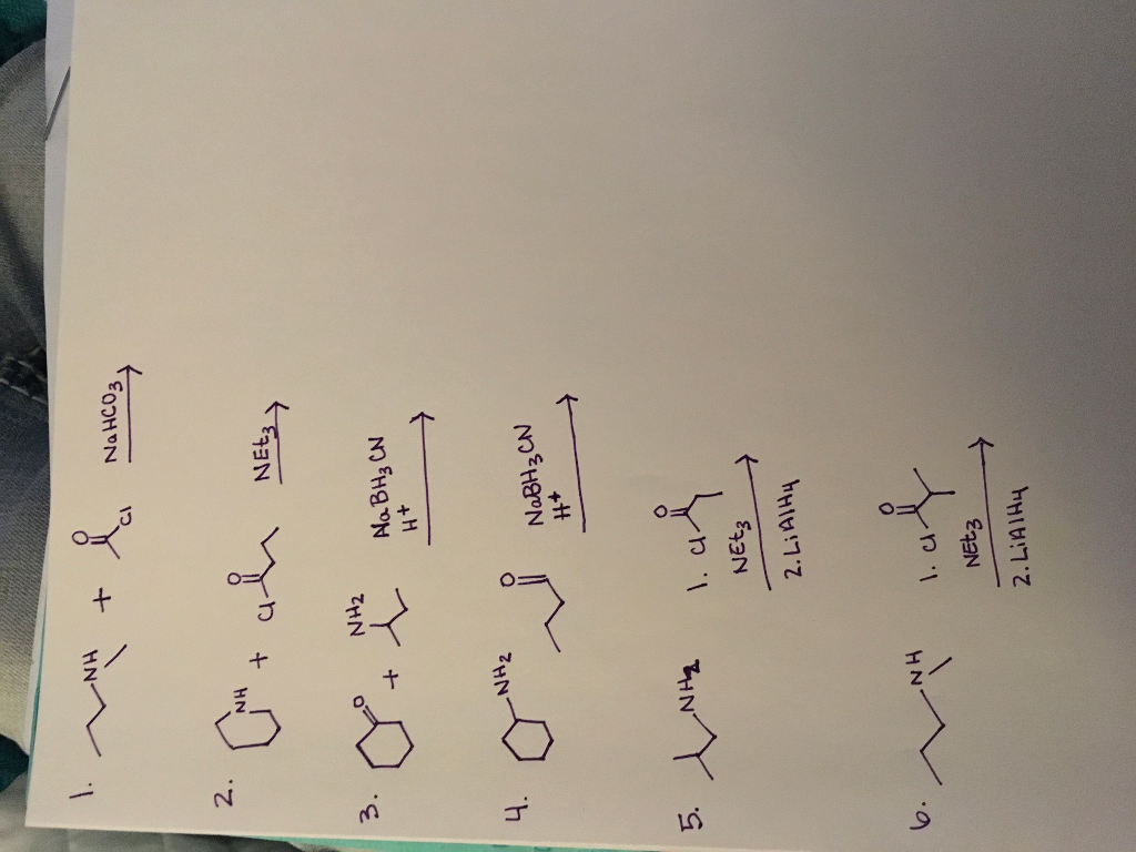 Solved 2. NA NaHCO3 CA NH NEt NH2 No BH3CN NH NHA 1. NEt 2. | Chegg.com