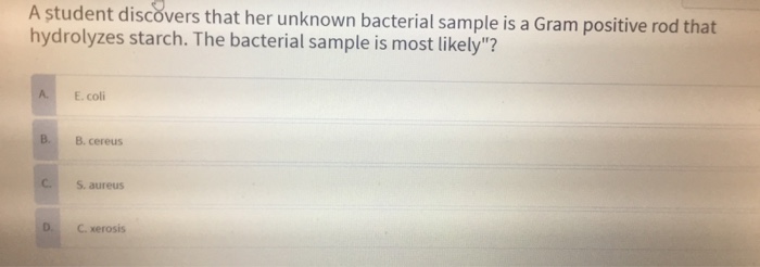Solved A student discovers that her unknown bacterial sample | Chegg.com