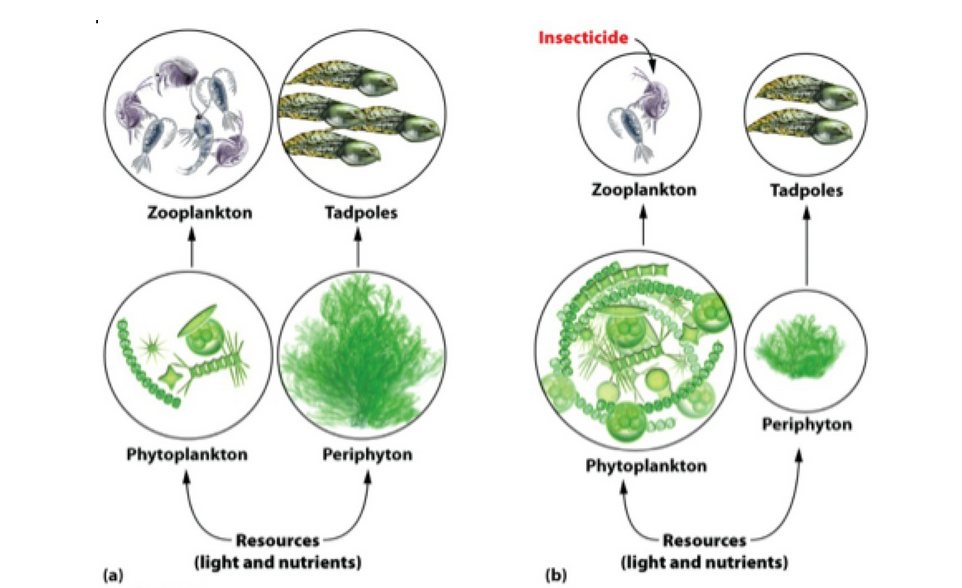Solved 1) What organisms in the figure appear NOT to be | Chegg.com
