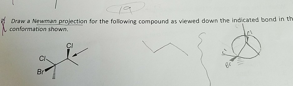 Solved Draw a Newman projection for the following compound | Chegg.com