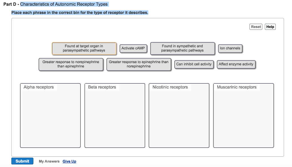 Solved Part D - Characteristics of Autonomic Receptor Types | Chegg.com