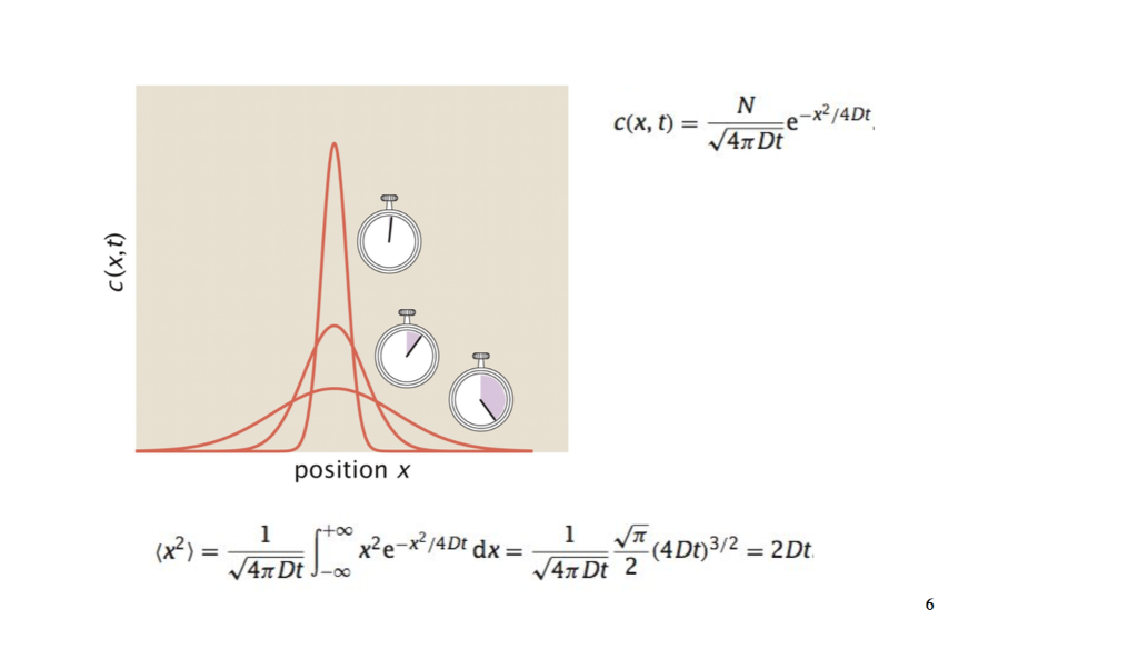Solved Diffusion equation, I just want to know how is the | Chegg.com