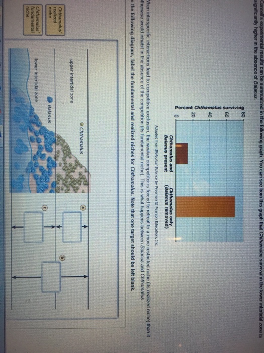 Solved When interspecific interactions lead to competitive | Chegg.com