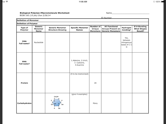 Solved Polymer/ macrmolecule worksheet | Chegg.com