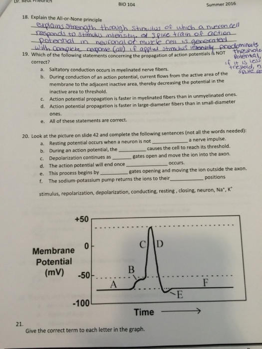 Explain the All-or-None principle Which of the | Chegg.com