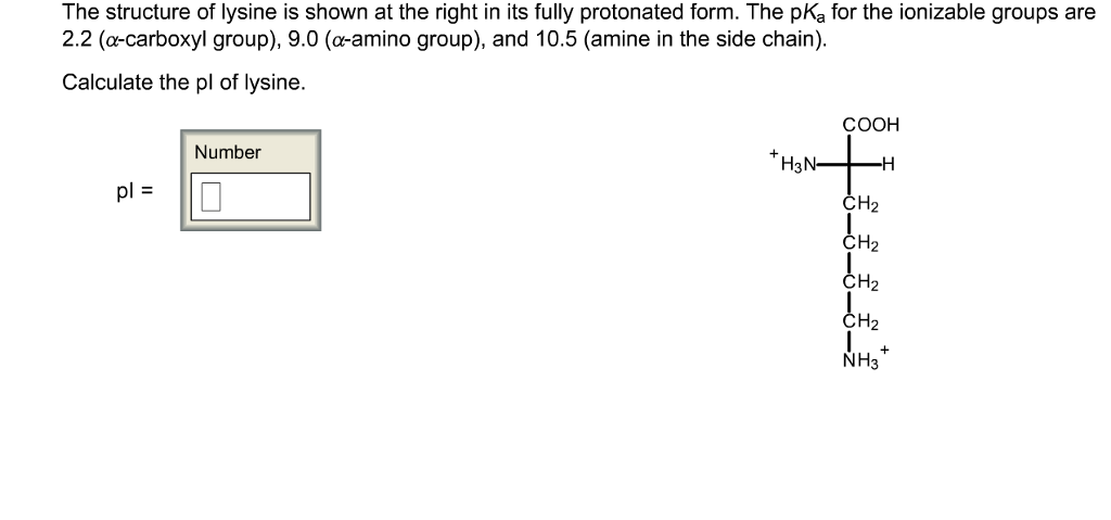 Solved The structure of lysine is shown at the right in its | Chegg.com