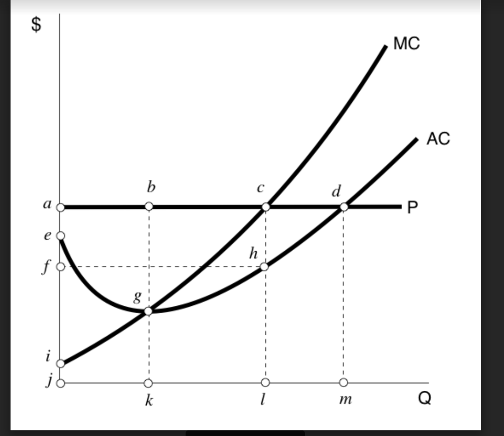 Solved MC AC | Chegg.com
