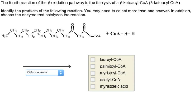 Solved EDIT!!!! The enzyme is Thiolase. Part of the answer | Chegg.com