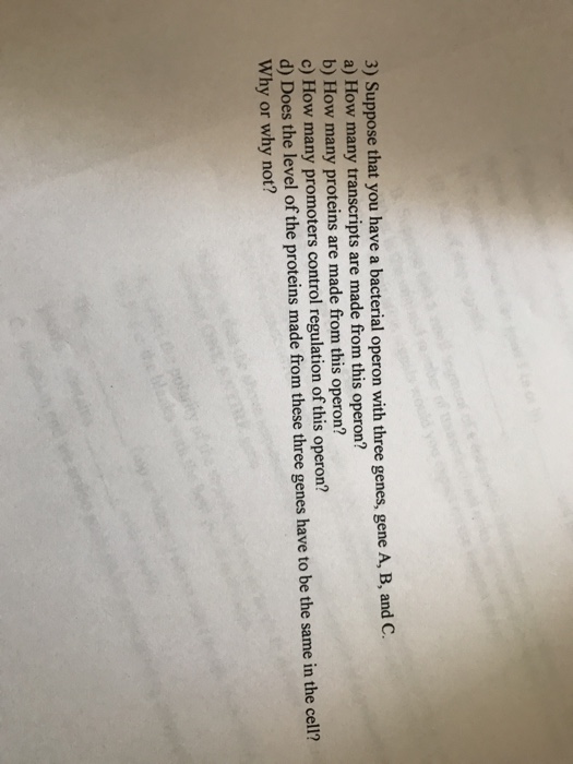 Solved Suppose that you have a bacterial operon with three | Chegg.com