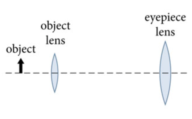 A schematic diagram of a refractive microscope is | Chegg.com
