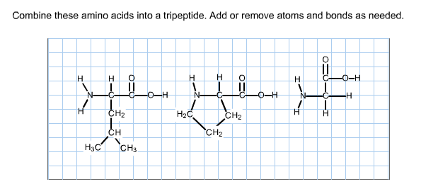 Tripeptide Bond