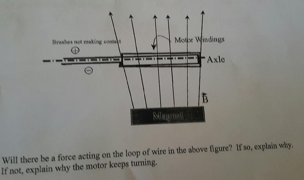 Solved Will there be a force acting on the loop of wire in | Chegg.com