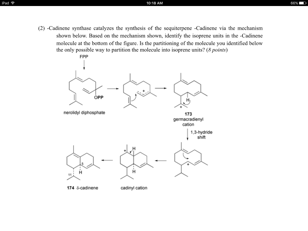 Solved Cadinene synthase catalyzes the synthesis of the | Chegg.com