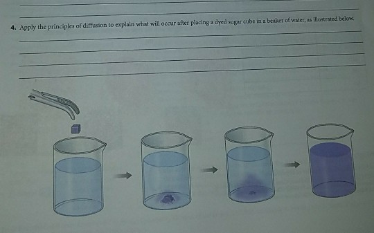 Solved Apply the principles of diffusion to explain what | Chegg.com