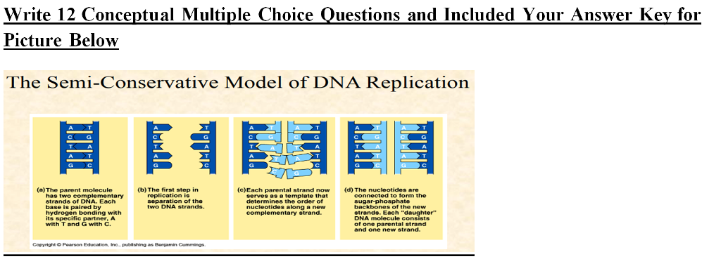 Solved Note: Write 12 Conceptual Multiple Choice Questions | Chegg.com