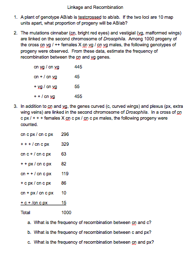 Solved Linkage and Recombination 1. A plant of genotype | Chegg.com