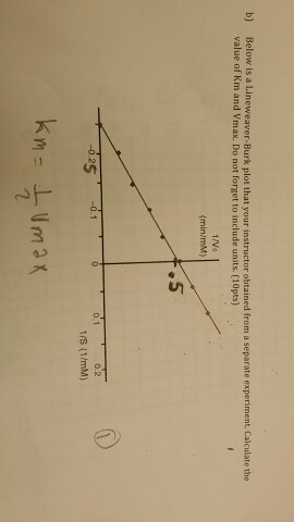 Solved calculate km and vmax | Chegg.com