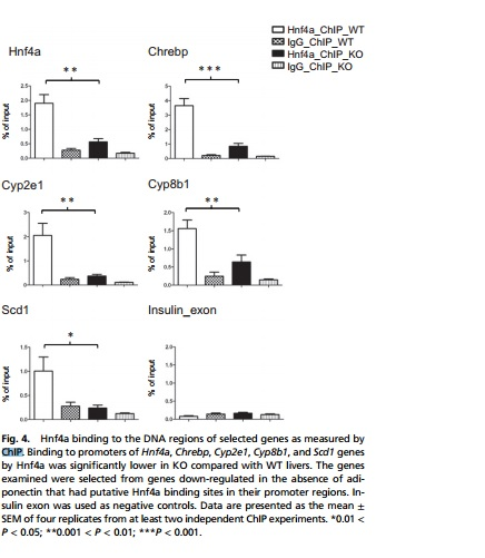 Solved ChIP Experiment. ChIP was performed as described (28, | Chegg.com