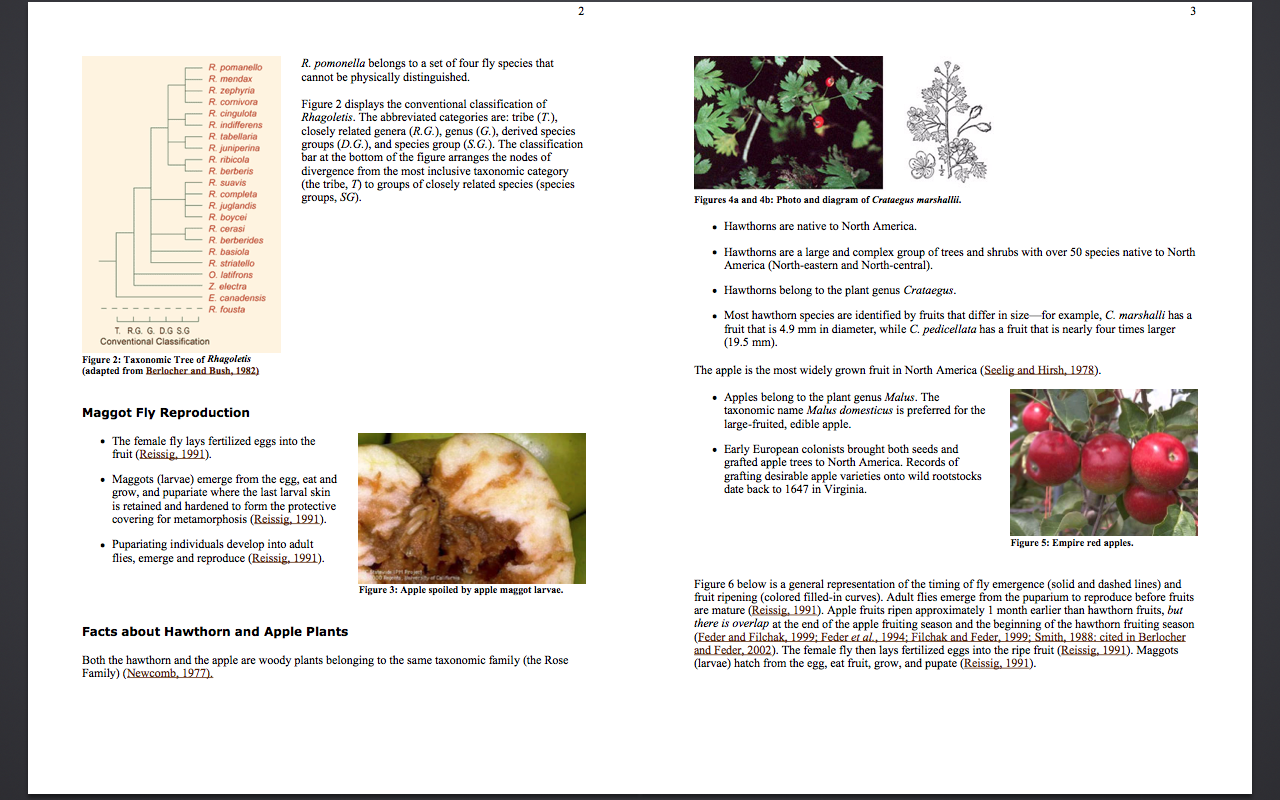 Solved As the Worm Turns: Speciation and the Apple Maggot | Chegg.com