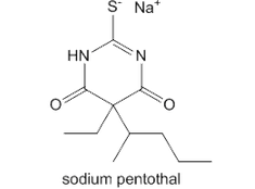 Solved Sodium pentothal is a short-acting | Chegg.com