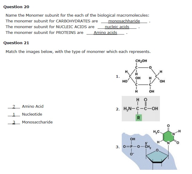 Solved Question 20 Name the Monomer subunit for the each of | Chegg.com