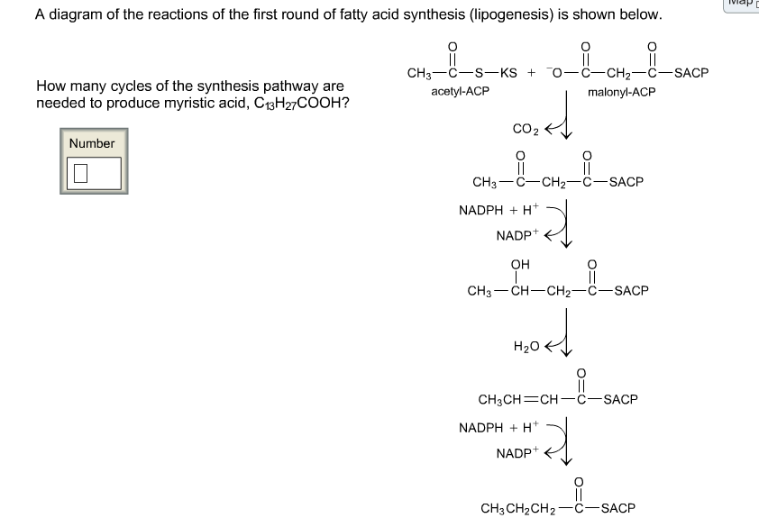 Solved A diagram of the reactions of the first round of | Chegg.com