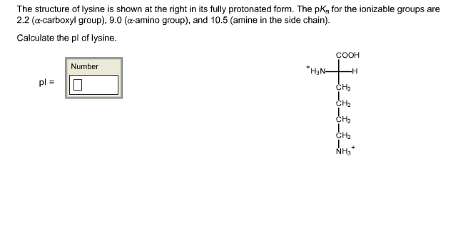 Solved The structure of lysine is shown at the right in its | Chegg.com