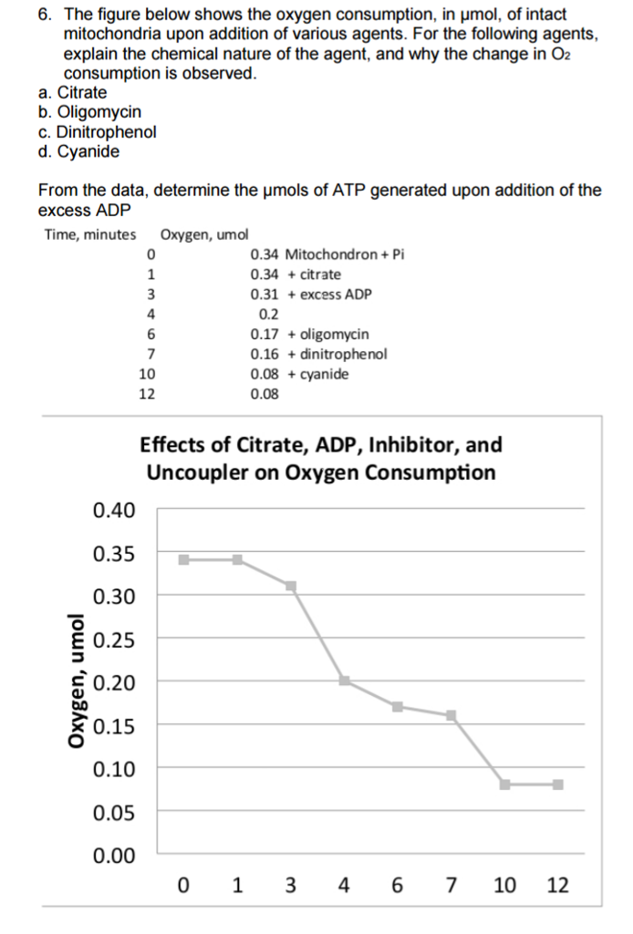 Solved The figure below shows the oxygen consumption, in | Chegg.com