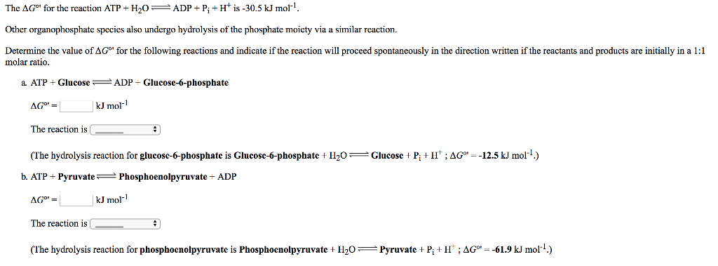 Solved The ΔG01 for the reaction ATP H2O ADP + Pi + H+ | Chegg.com