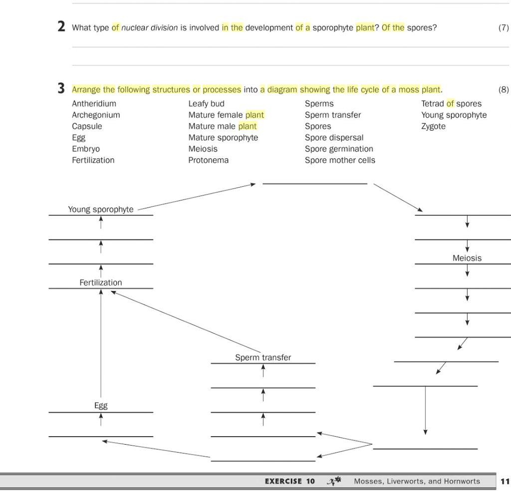 Solved arrange the following structures or processes into a | Chegg.com