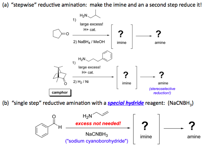 Solved (a) “stepwise" reductive amination: make the imine | Chegg.com