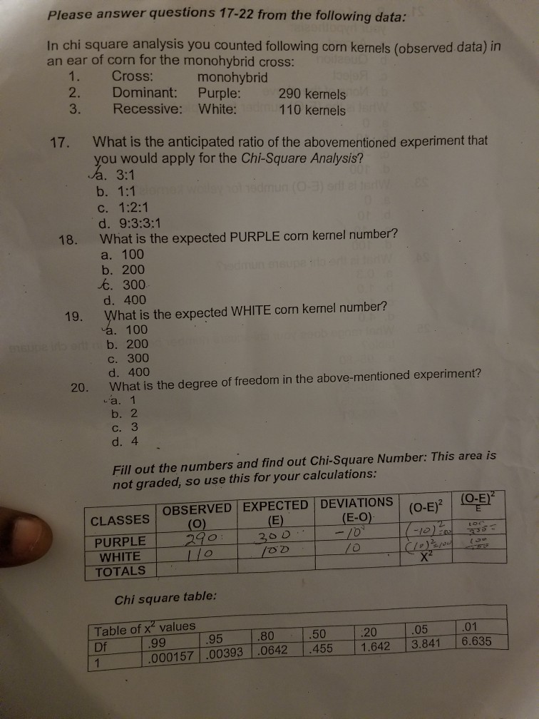 Solved In Chi Square Analysis You Counted Following Corn 4007
