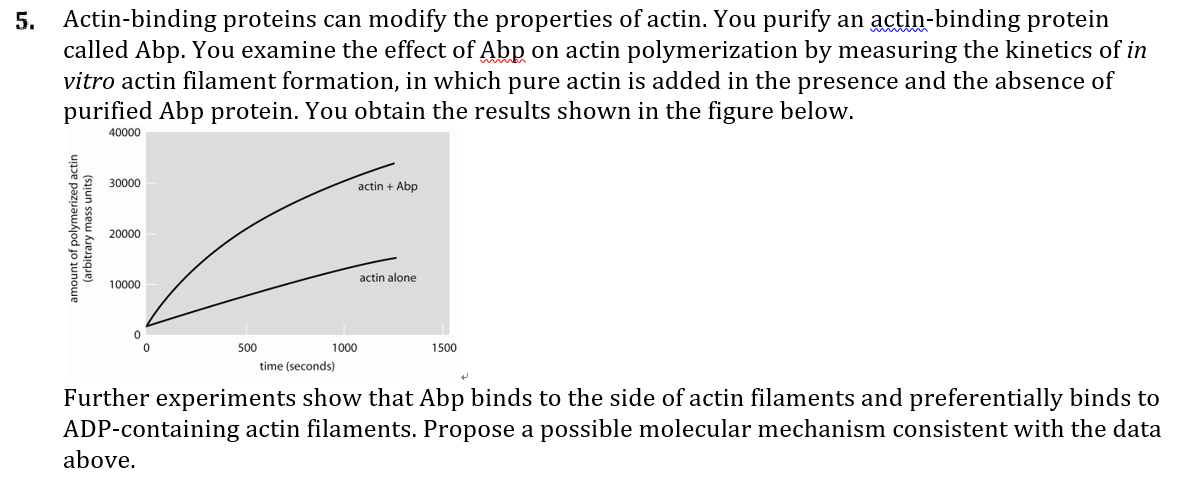 Solved Actin-binding proteins can modify the properties of | Chegg.com