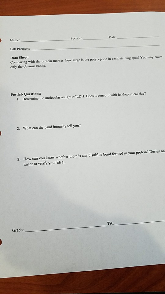 Solved Name: Section Date: Lab Partners Data Shect: | Chegg.com