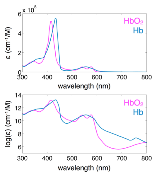Hemoglobin Wavelength Absorption at Stephen Jolly blog