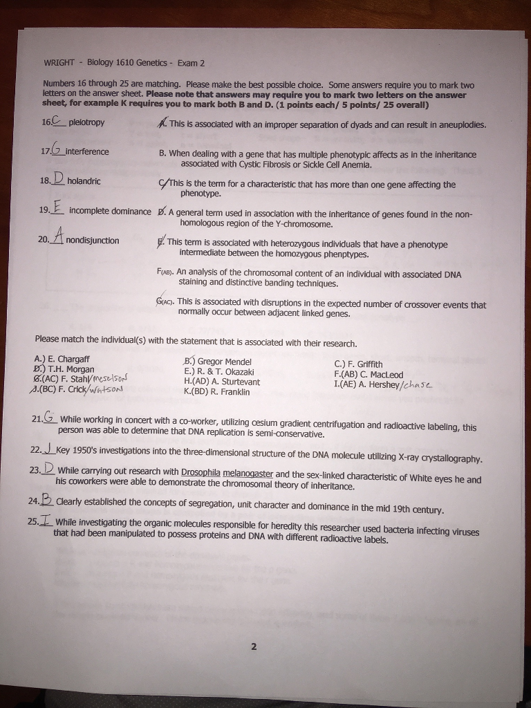 Investigation Dna Proteins And Mutations Cow Worksheet Answers ...