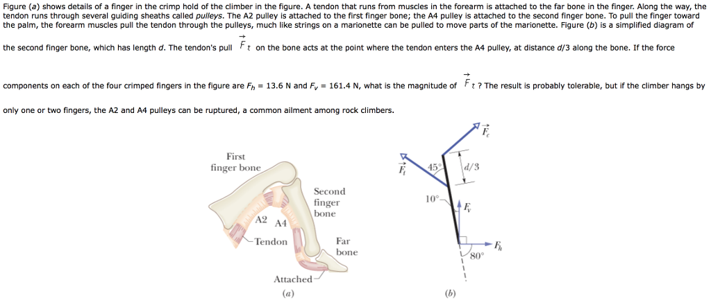 Solved Figure (a) shows details of a finger in the crimp | Chegg.com