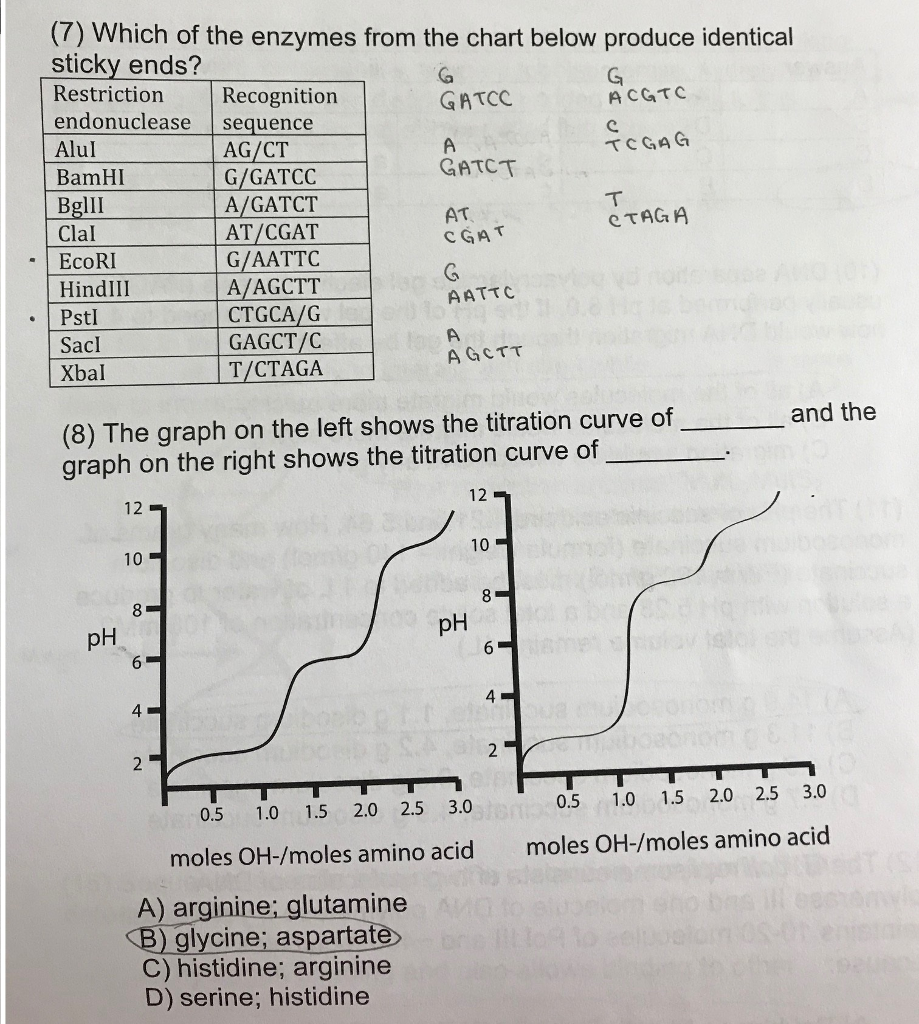 Solved (7) Which of the enzymes from the chart below produce | Chegg.com